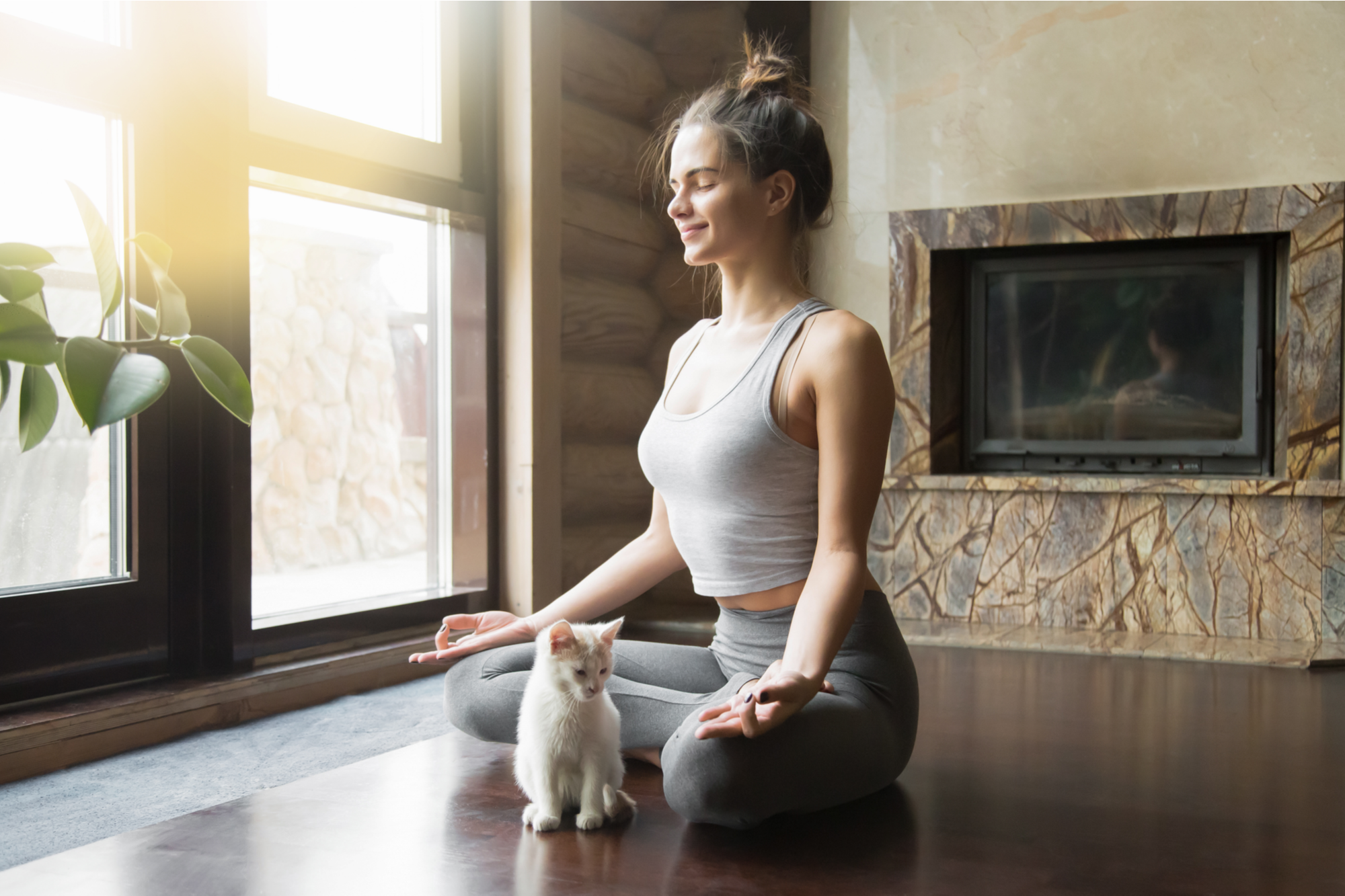 Yoga Insurance in Massachusetts | Haberman Insurance Group